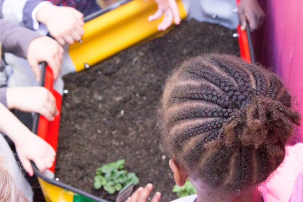 Kids Planting Vegetables – Kermis Kindy